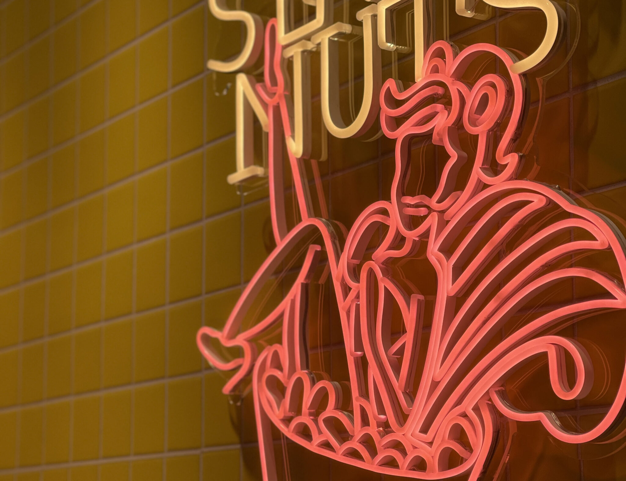 ABOUT | NUTS FACTORY